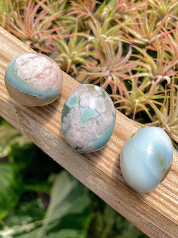 Blue Flower Agate Tumble - TheDrunkenGnome Airplant Co.