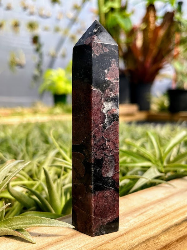 Astrophyllite w/ Garnet Crystal Point - TheDrunkenGnome Airplant Co.