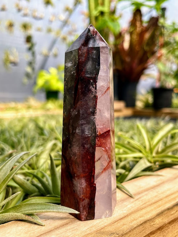 Fire Quartz Crystal Point - TheDrunkenGnome Airplant Co.